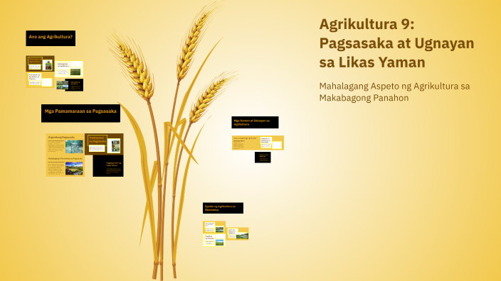 Agrikultura 9: Pagsasaka at Ugnayan sa Likas Yaman by toshie gajardo on ...