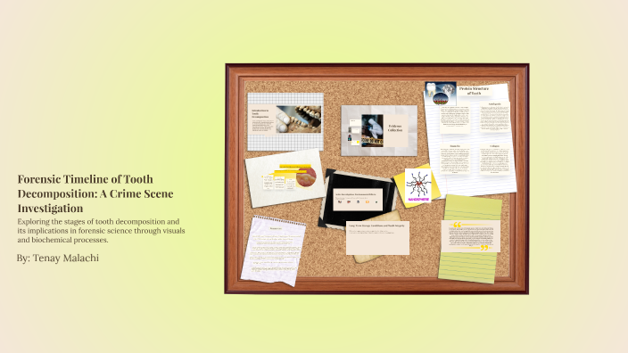 Forensic Timeline of Tooth Decomposition: A Crime Scene Investigation ...