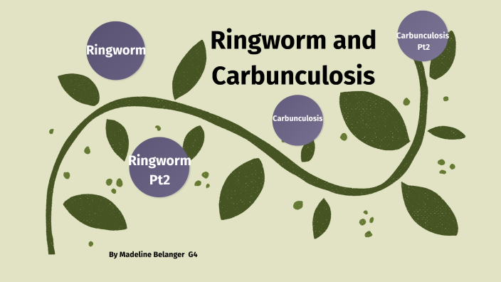 Ringworm and Carbunculosis by Madeline Belanger [STUDENT] on Prezi