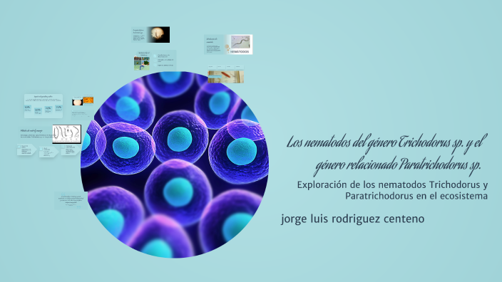 Los nematodos del género Trichodorus sp. y el género relacionado ...