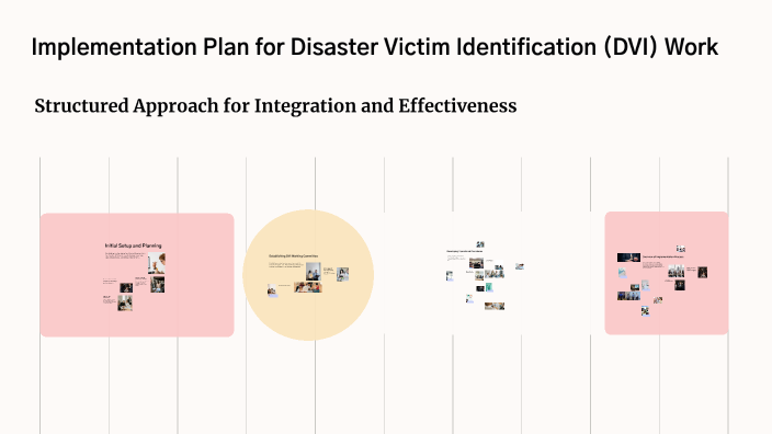 Implementation Plan for Disaster Victim Identification (DVI) Work by ...