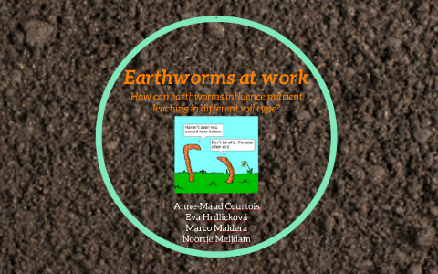 An earthworms job: earthworms soil preference and earthworms by marco ...