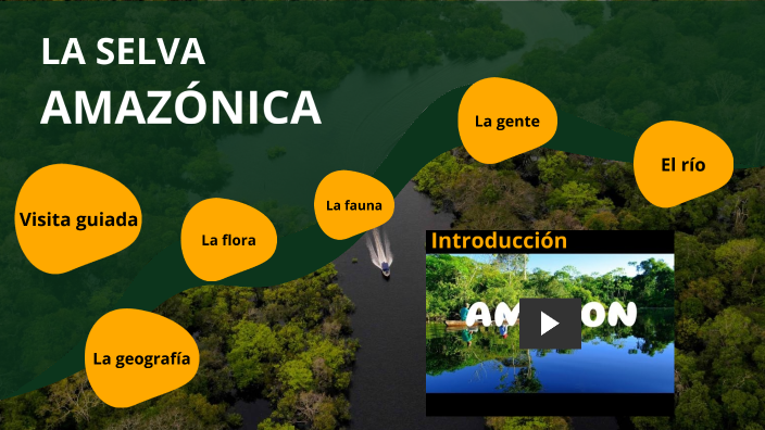 La selva amazónica by Shannon on Prezi