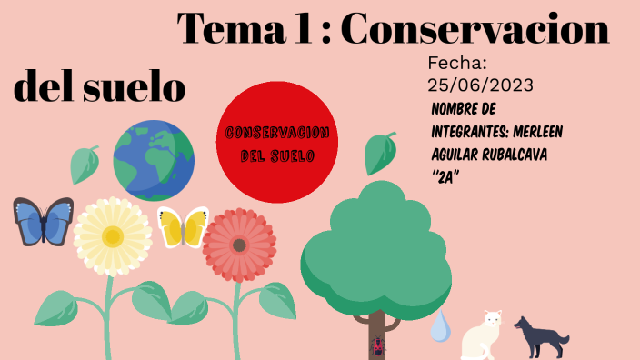 Tema:1 Conservación del suelo by Merleen Aguilar on Prezi