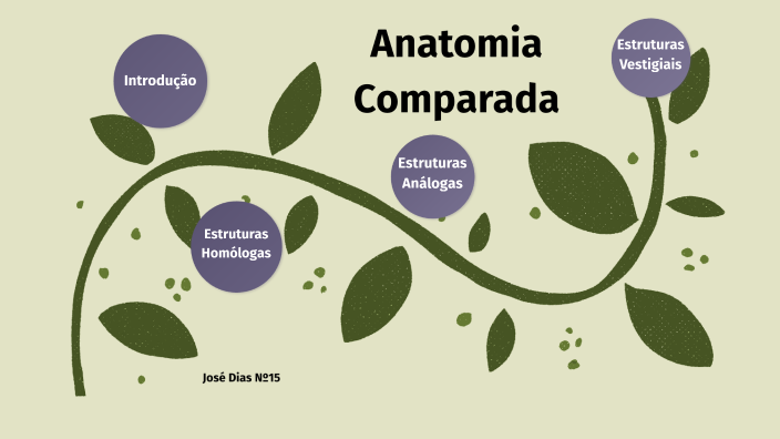 Anatomia Comparada by Zé Dias on Prezi