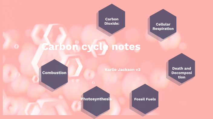 Carbon Cycle Notes by Karlie Jackson on Prezi