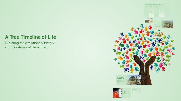 A Tree Timeline of Life by Madalyn Thompson on Prezi