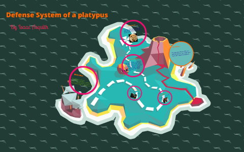 Defense System of a Platypus by Isaac Asquith on Prezi