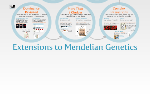 AP Bio- Mendelian Genetics 2: Extensions to Mendelian Genetics by ...
