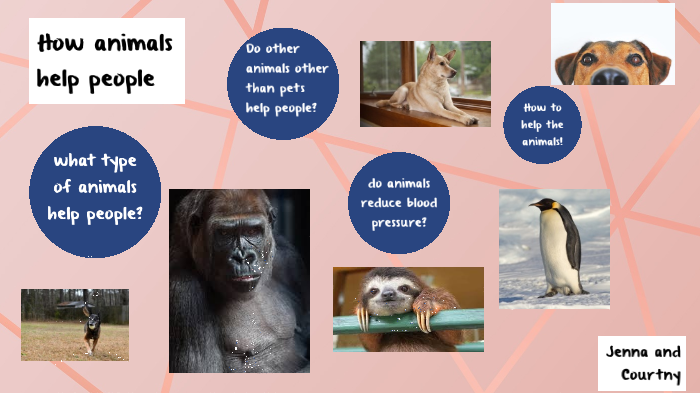Animals Helping Others