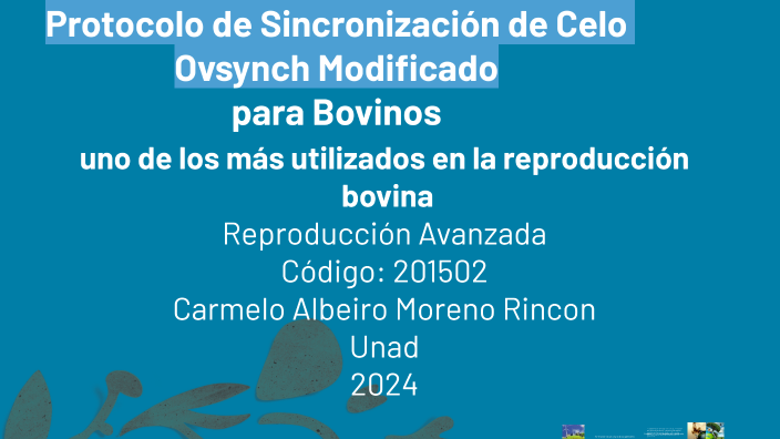 Protocolo de Sincronización de Celo Ovsynch Modificado para Bovinos by ...