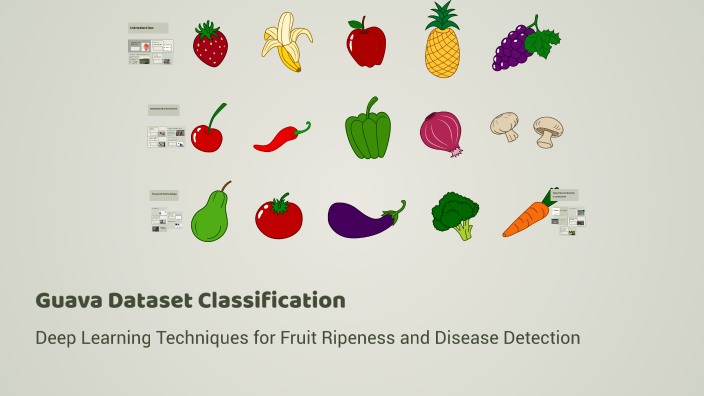 Guava Dataset Classification by Tulsi Kadiya on Prezi