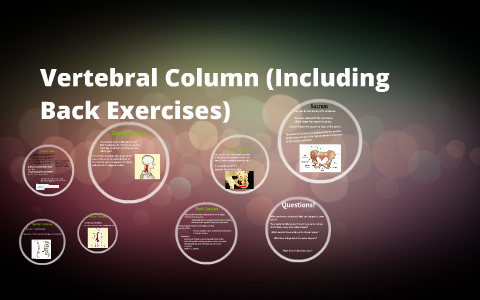 Vertebral Column (Including Back Exercises) by Kayleigh Pauley on Prezi