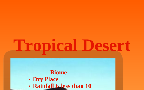 Tropical Desert by Aimee Godfrey