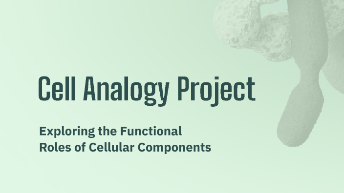 Cell Analogy Project by Addison Murray on Prezi
