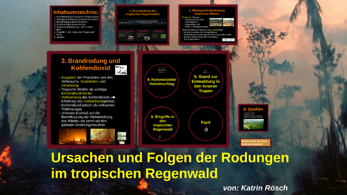 Geo: Ursachen u. Folgen der Rodungen im tropischen Regenwald by Hans ...