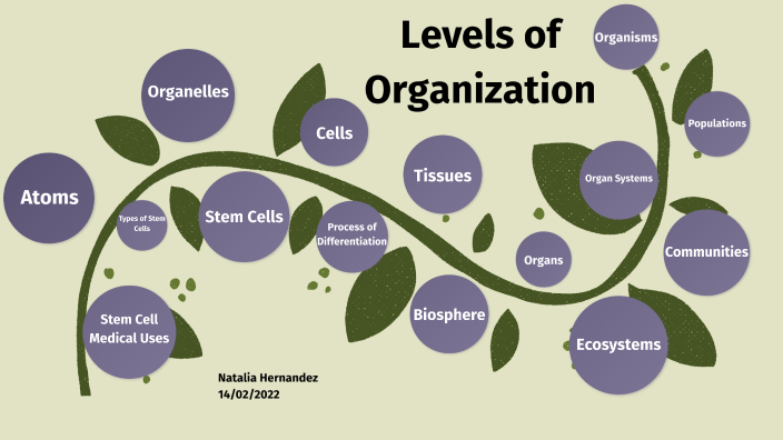 1.2 Levels of Organization by Natalia Hernandez [STUDENT] on Prezi