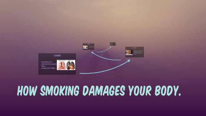 How smoking damages your organs. by Grace SP on Prezi
