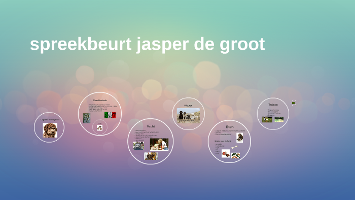 spreekbeurt jasper de groot by Jasper de Groot on Prezi