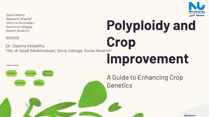 Polyploidy and Crop Improvement by on Prezi