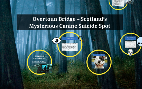 Overtoun Bridge – Scotland’s Mysterious Canine Suicide Spot by ...