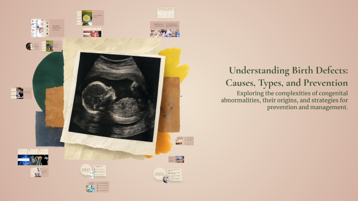 Understanding Birth Defects: Causes, Types, and Prevention by Max Home ...