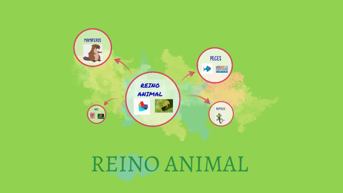 REINO ANIMAL by Nancy Solano on Prezi