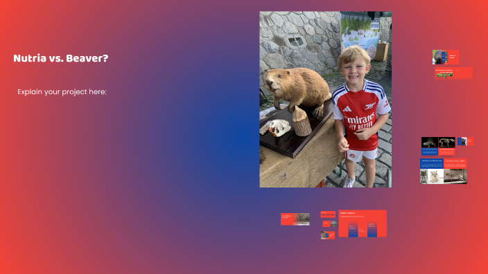 Nutria vs. Beaver: A Fun Comparison for Kids by Jen Chisholm on Prezi