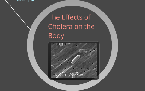 How Cholera Affects the Body by Camneil Daly on Prezi