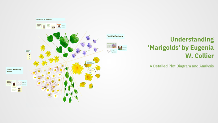 Understanding 'Marigolds' by Eugenia W. Collier by Kelli McDonald on Prezi
