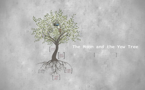 The Moon and the Yew Tree by Beth Wynne on Prezi