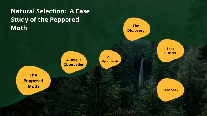 Natural Selection: A Case Study of the Peppered Moth by Faith Hudgens ...