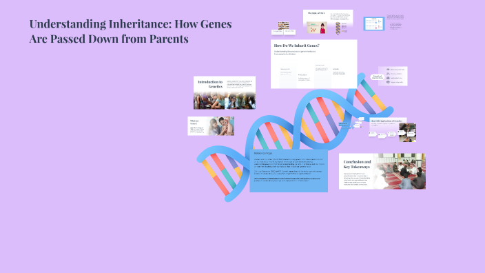 Understanding Inheritance: How Genes Are Passed Down from Parents by ...