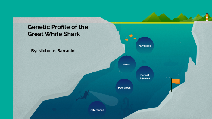 Genetic Profile of the Great White Shark by Nicholas Sarracini on Prezi