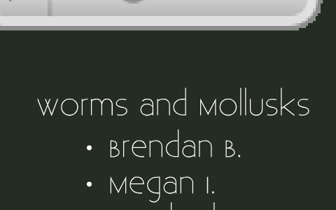 Worms and Mollusks by Brendan Boyle on Prezi