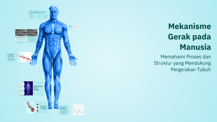 Mekanisme Gerak pada Manusia by Subahur Maulana on Prezi