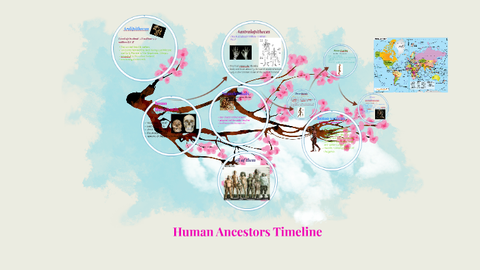 Human Ancestors Timeline by tessa pycko on Prezi