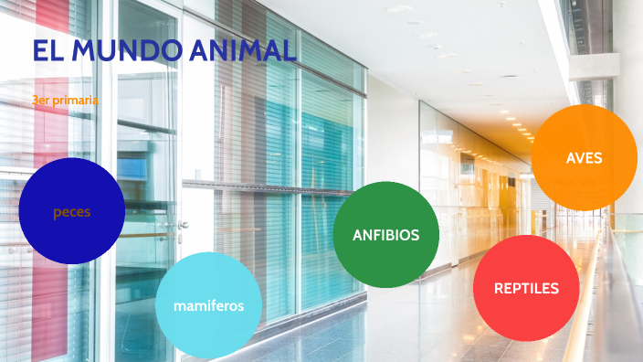 EL MUNDO ANIMAL by Jamir Falcón Llanos on Prezi