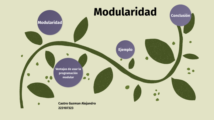 Modularidad by CASTRO GUZMAN ALEJANDRO on Prezi