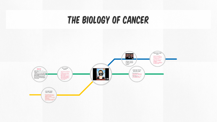 How does cancer effect cells? by Andrew Flohr on Prezi