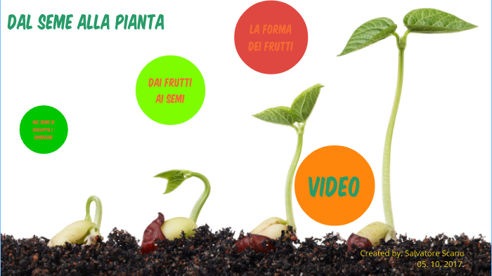 dal seme alla pianta by Salvatore Scanu on Prezi