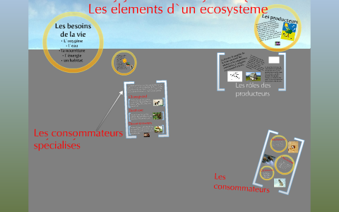 Les producteurs, les consommateurs et les décomposeurs by kathy ...