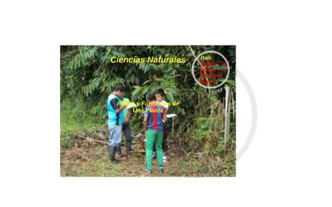 Ciencias Naturales by Cleider Reyes