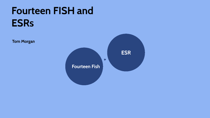 14Fish and ESRs by thomas morgan on Prezi