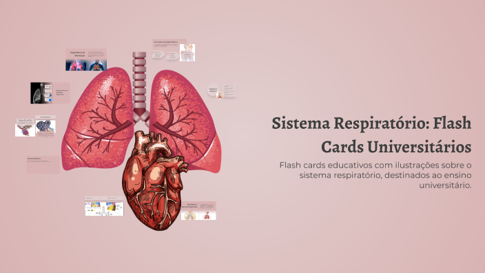 Sistema Respiratório: Flash Cards Universitários by MICHELLE DA SILVA ...