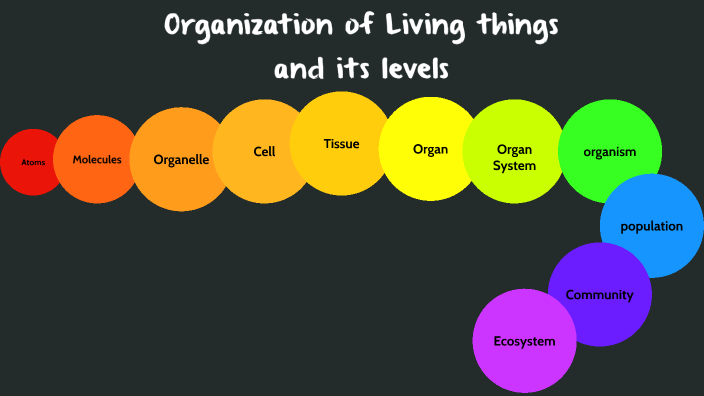Organization of Living Things And It's Levels. by Abigail Jones ...