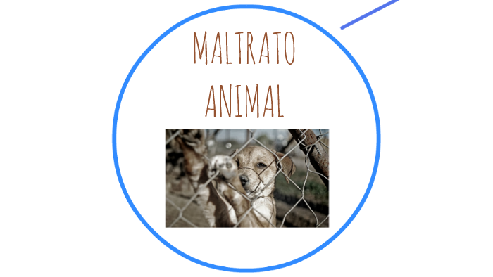 MALTRATO ANIMAL by leire bedia on Prezi