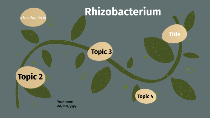 Rhizobacterium by Ayla Ryckebosch on Prezi