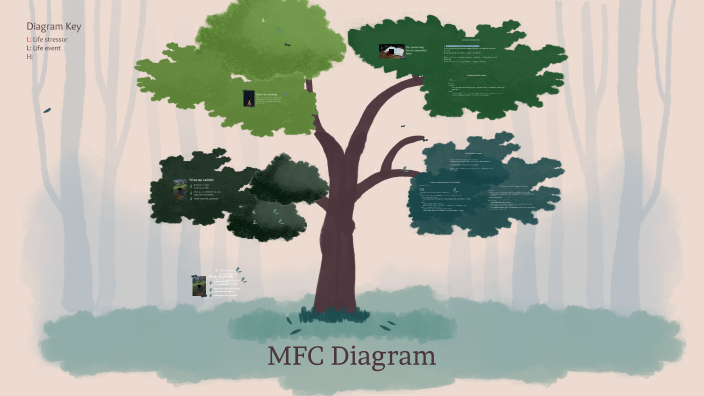 MFC Diagram by Kylie Mullenex on Prezi