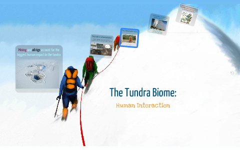 The Tundra Biome: Human Interaction by Thomas Zombek on Prezi